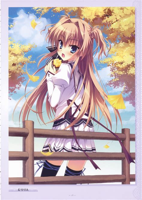 Sena Airi My Anime Shelf