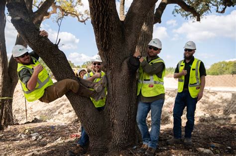 Treemannsolutions Treemannteam Savetimesavemoneysavetrees Letsgoclimbing Weekendmood