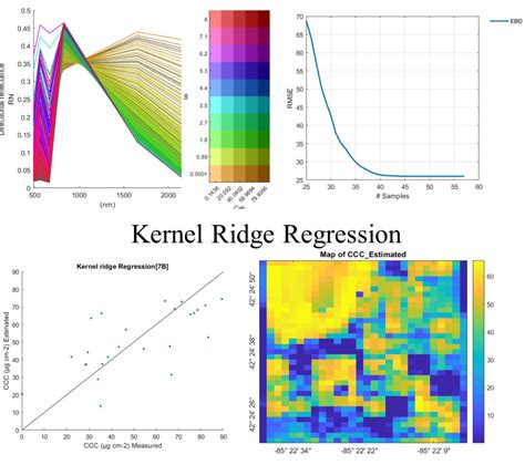 Machine Learning Based Estimation Of Canopy Chlorophyll Content In Crops From Multiple Satellite