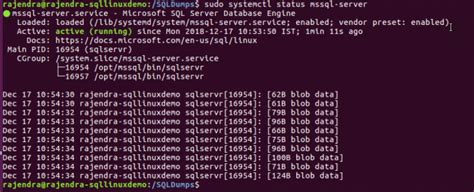 Changing SQL Dump File Locations In SQL Server On Linux