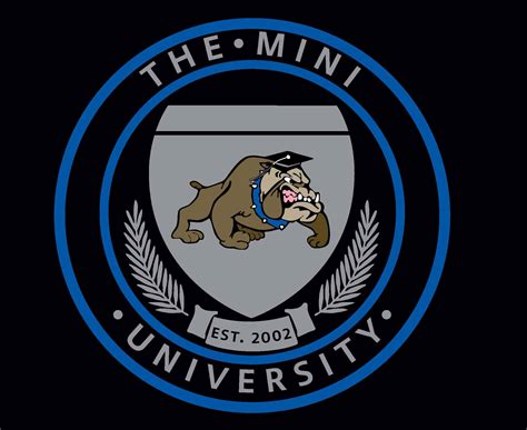 The Mini University