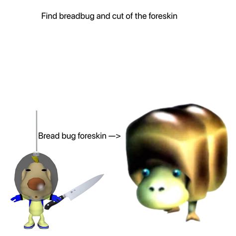 Breadbug R Breadbug