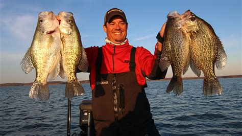 Best Crappie Baits And How To Fish Them Wired2fish