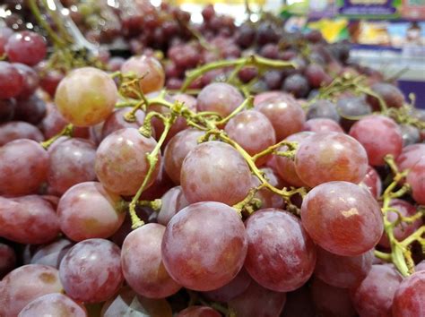 Xiaomi Redmi 8A Review Smartphone Murah Terbaik Laptophia