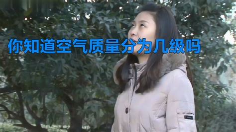 空气质量指数定量描述空气质量状况的指数搜狗百科