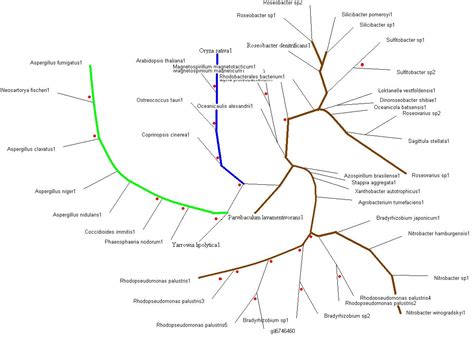 File Tree Wit Bootstrap MDWiki