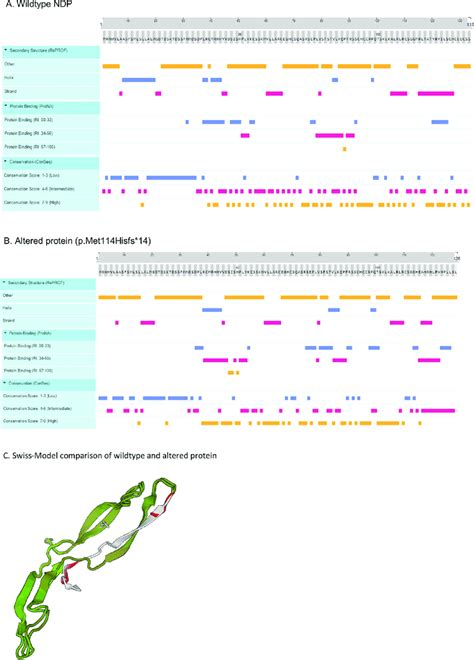 Comparison Of The Wildtype A And Altered Protein B Using Download Scientific Diagram