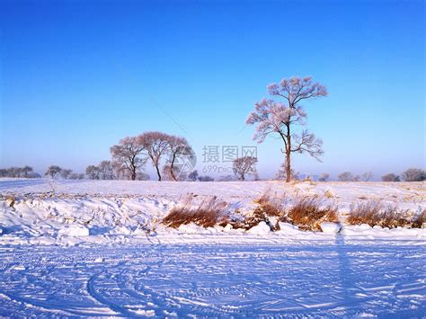 吉林雾凇岛冰雪天地宛如仙境高清图片下载 正版图片501098515 摄图网