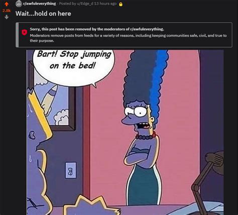 When Your Good Post Gets Removed And You Get Banned From Posting R