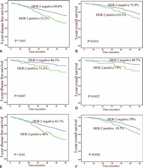 Kaplan Meier Analysis Of Dfs And Os Rates In Relation To Her 2 Status