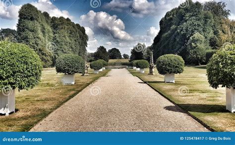 Tree Lined Path Stock Images 2 499 Photos