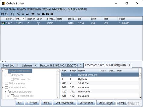【内网安全 Cs】cobalt Strike启动运行and上线方法and插件如何在本地打开cobalt Strike Csdn博客