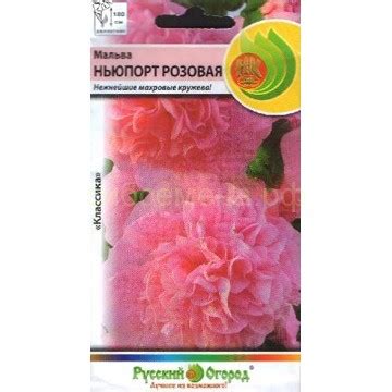 ЦВЕТЫ МНОГОЛЕТНИЕ — Семена для Сибири