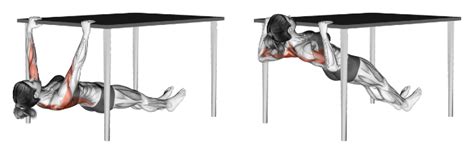 How To Build Back Muscle And Strength At Home With Table Or Chair Inverted Rows Member Login
