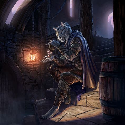 Скупщица Гильдии воров The Elder Scrolls Wiki Fandom