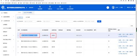 BUG 8198 基层治理队伍分析 社会组织正式环境其他组织社工组织明细里面的负责人没有显示值本身社工服务机构里面 就只有一个和