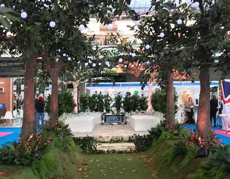 Ficus Trees — Funky Event Hire