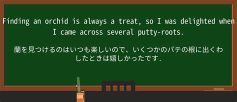 【英単語】putty rootを徹底解説！意味、使い方、例文、読み方