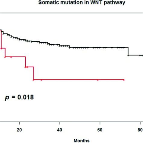 Mutation Classification System A Hierarchical Mutation Download