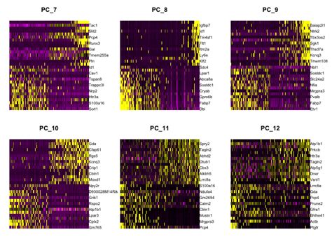 Single Cell RNAseq Part UC Davis Bioinformatics Core June July ScRNA Seq Workshop UCD