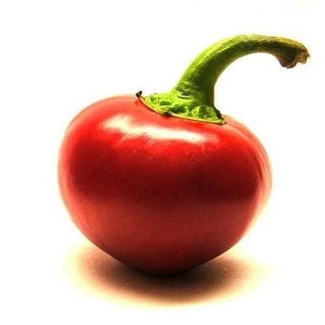 Mild Chilli Pepper Seeds Flavor Without The Fire