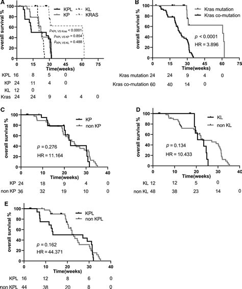 The Overall Survival Of Different Kras Co‐mutation Subtypes In Chinese Download Scientific