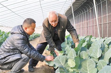 菏泽日报数字报 大棚里来了洋专家