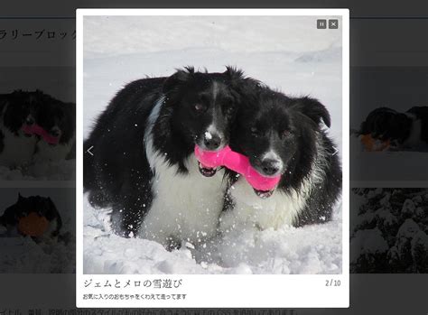 画像を拡大表示するプラグイン Simple Lightbox を Css で調整してみました Lightning Pro Origin