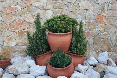 Mediterrane tuin ideeën foto s voorbeelden bekijken Slimster