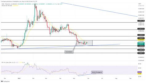 Shiba Inu Price Analysis SHIB Price Delays Inevitable Rise To