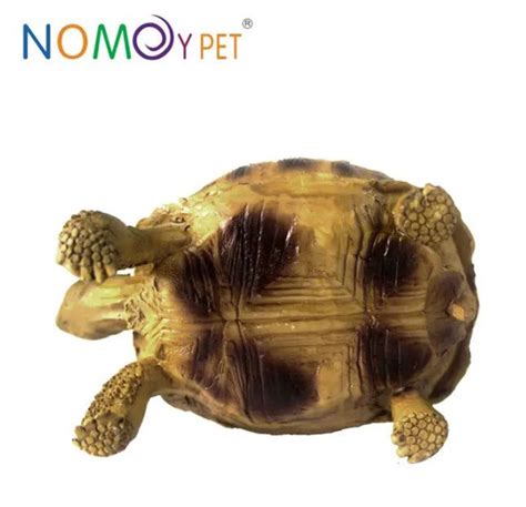 NOMOYPET A5 Turtle Decoration — East Ocean Aquatic