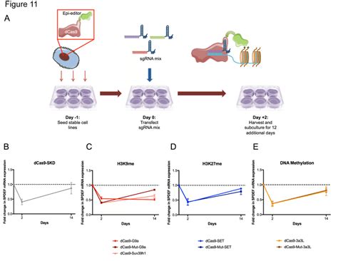 Sustained Gene Repression By Means Of Epigenetic Editing Using The
