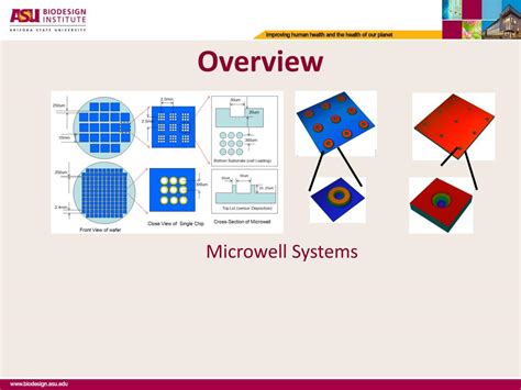 Ppt Development Of Parylene C Microstructures For Biological Applications Powerpoint