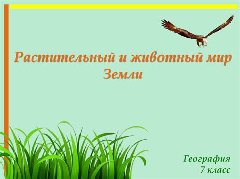 Растительный и животный мир Земли География 7 класс презентация онлайн