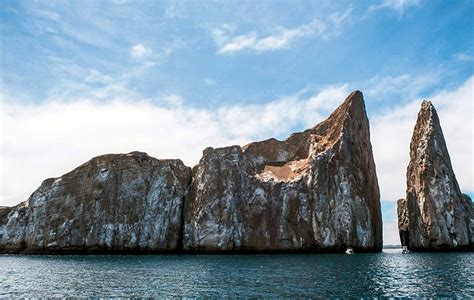 Tour León Dormido San Cristobal Isabela Insula Sas Operadora De Turismo Operadora De