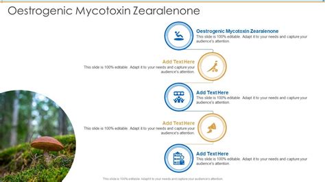 Oestrogenic Mycotoxin Zearalenone Ppt Template Cpp PPT Sample