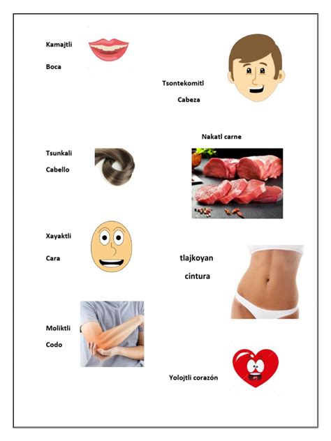 Partes Del Cuerpo En Nahuatl Pdf