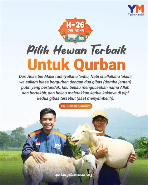 Daftar Harga Kambing Kurban Terlengkap Untuk Idul Adha