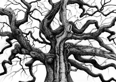 Tree Love On Behance