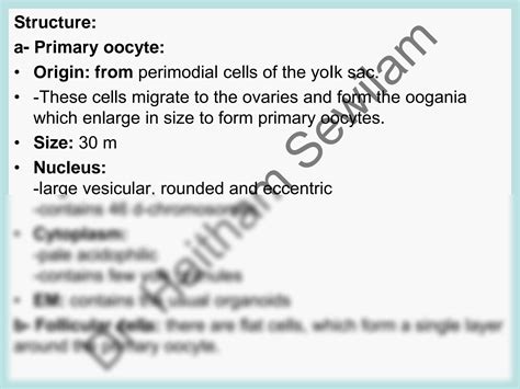 Solution Histology Of Female Genital System 1 Studypool