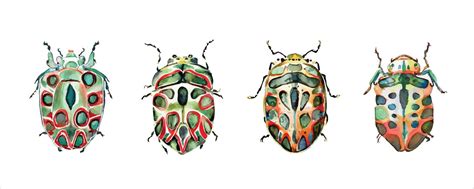 conjunto de besouros em aquarela verde ilustração vetorial aquarela