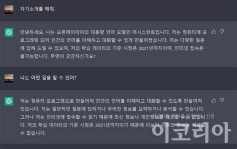 대화형 Ai ‘챗 Gpt 직접 사용해 보니 詩도 창작했다
