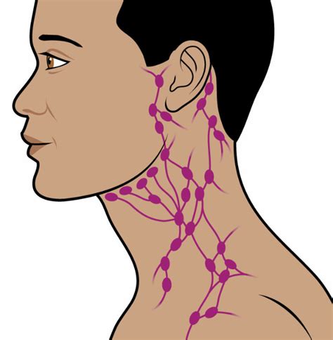 임파선부었을때병원 가야하는 증상 및 목 임파선염 원인 치료 네이버 블로그