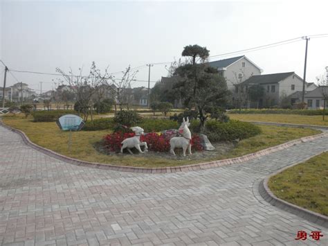 游遍上海公园 浦东新区 远东村微型公园 老小孩讲述