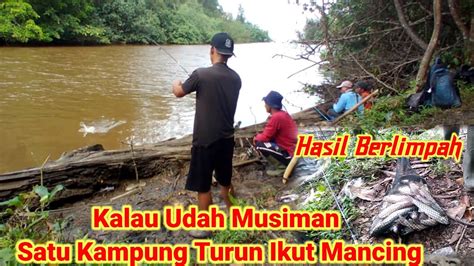 Bisa Habis Ikan Kalau Mancing Lah Satu Kampung YouTube