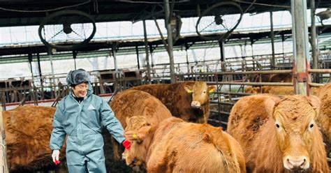 300만원짜리도 완판…백화점 한우가 잘나가는 이유 [양지윤의 왓츠in장바구니]