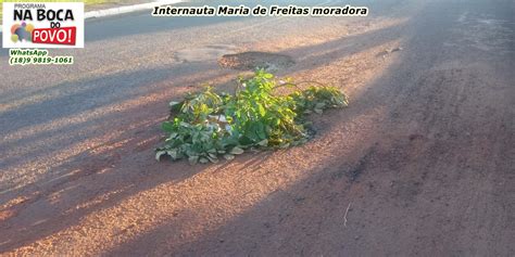 NA BRONCA MORADORES COLOCAM SINALIZAÇÃO DE GALHO DE ÁRVORE EM BURACO