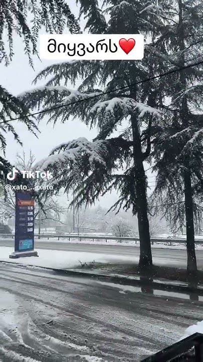 ულამაზესი საჩხერე💜 ️ Youtube