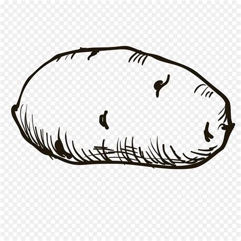手绘土豆PNG图片素材下载 图片编号10947172 PNG素材网
