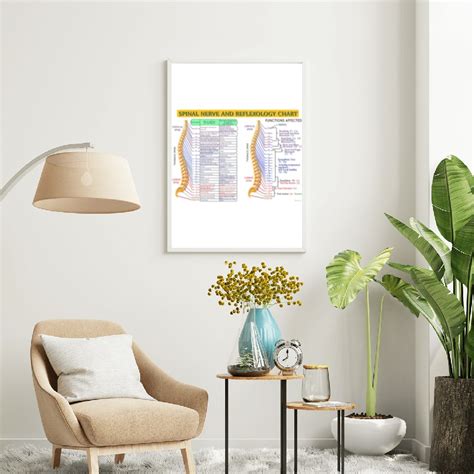 Spinal Nerve And Reflexology Chart Premium Matte Vertical Poster